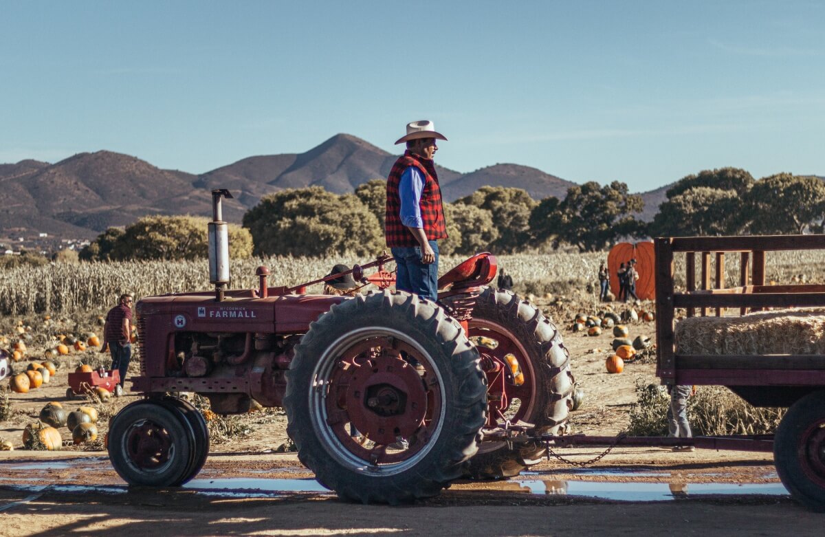 Pumpkin Fest | Mortimer Farms in Dewey, AZ