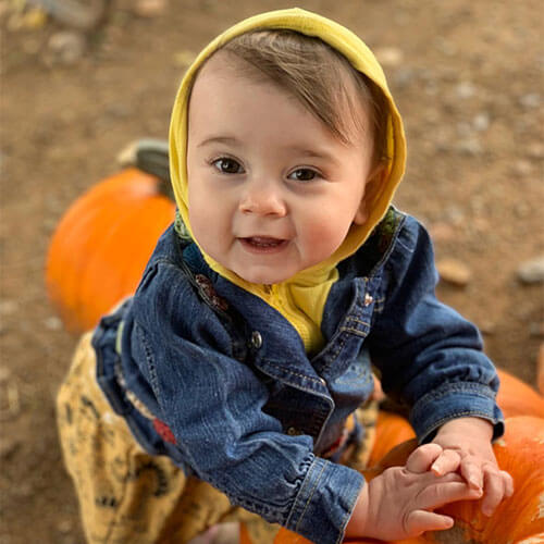 Pick n' Play | U-Pick Fun in the Mortimer Farms Farm Park